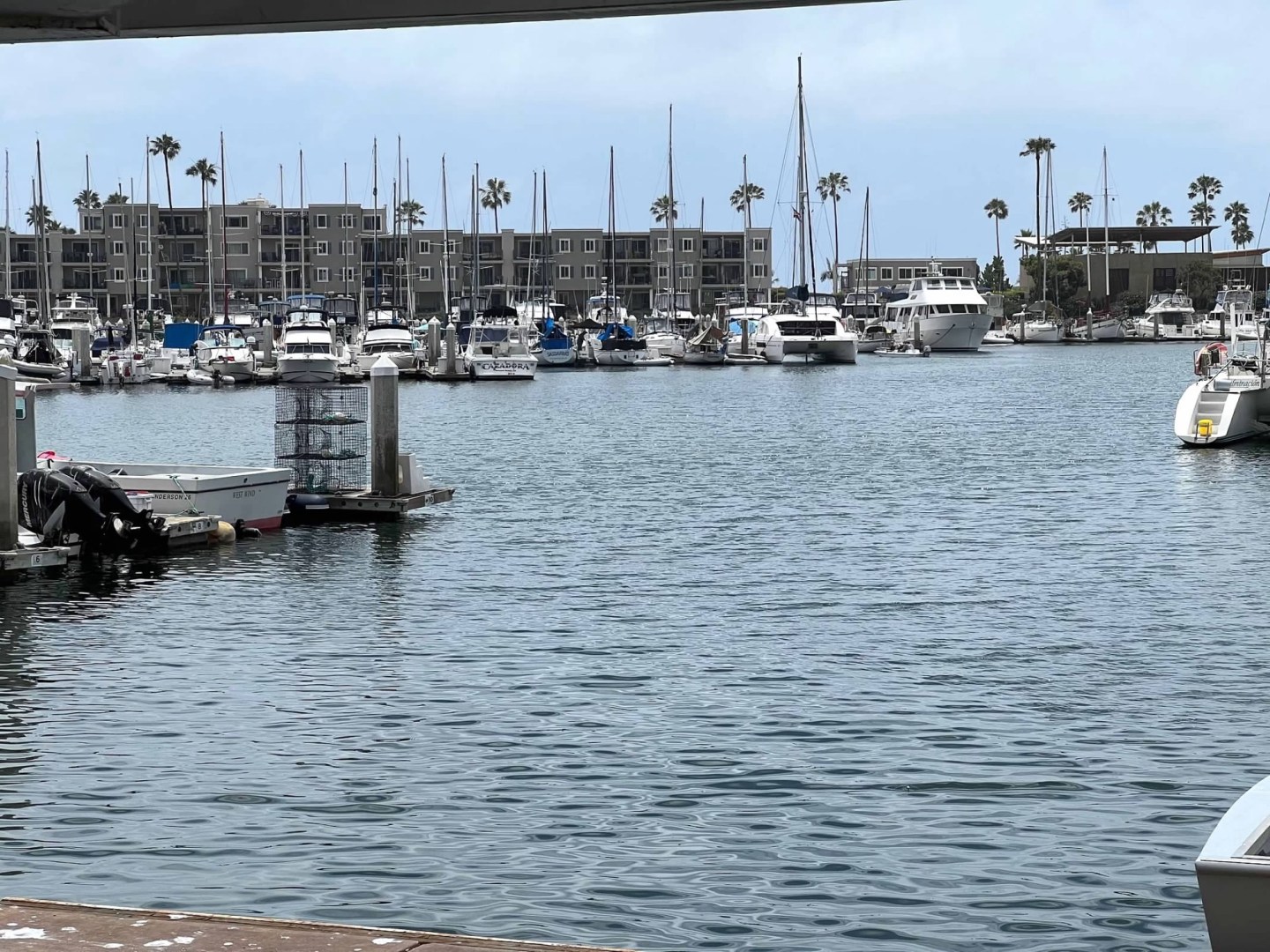 Oceanside California – A Not So Hidden Gem – NO time for boredom today